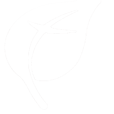 Mercy Ridge Residents Council